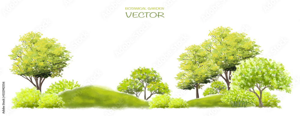 spring tree with leaves, Vector watercolor of tree side view isolated ...