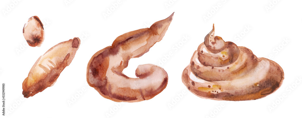 Set of hand drawn color sketches shit different variations isolated on ...