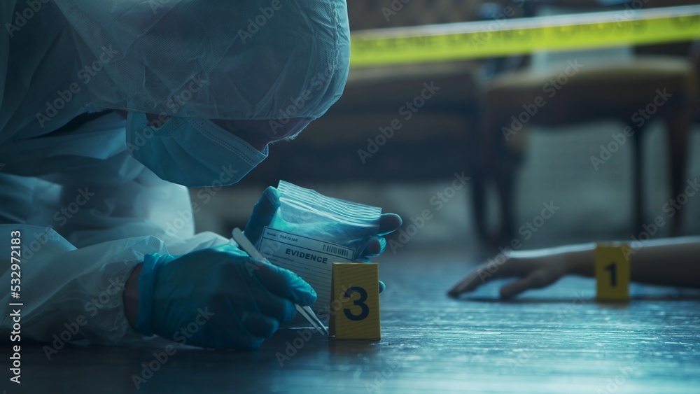Detective Collecting Evidence in a Crime Scene. Forensic Specialists ...