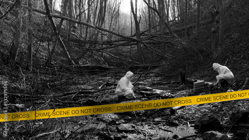 Detectives are collecting evidence in a crime scene. Forensic ...