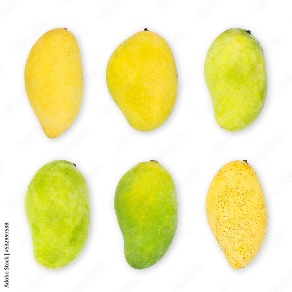 Raw mangoes and ripe patterns and multiple type of mangoes on white ...