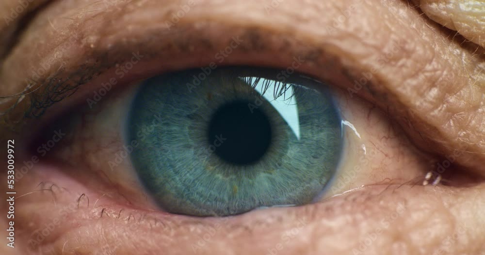 Macro image of green, blue eye color and detail display of natural ...