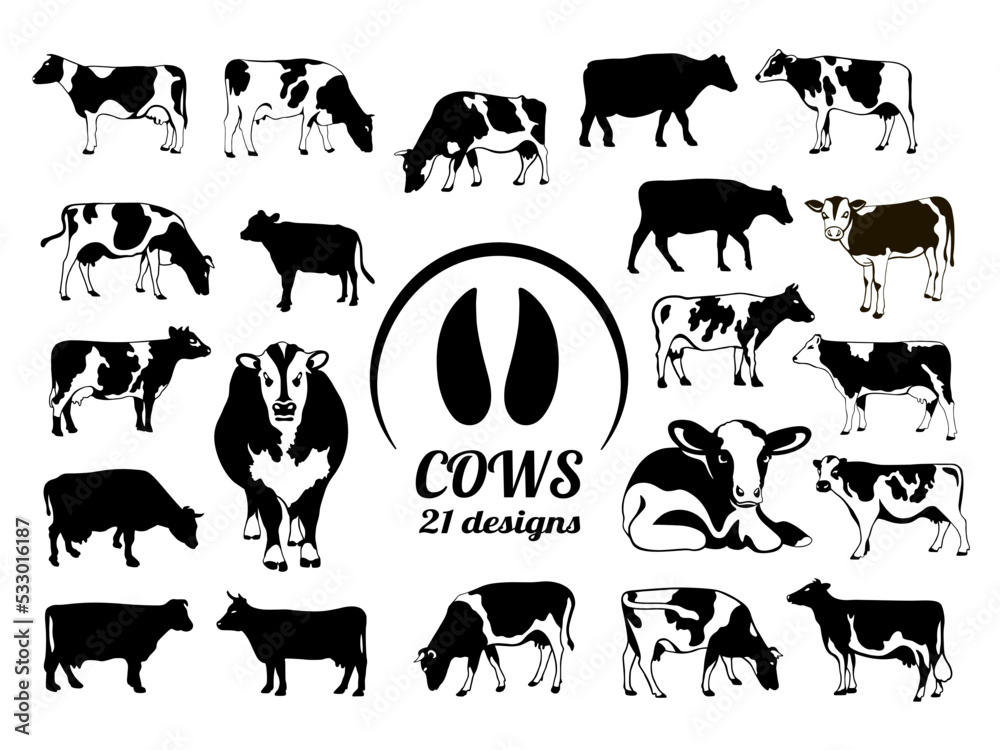 Cow SVG, Beef SVG, Cow SVG Bundle, Animal SVG, Cow Silhouette, Cow Face ...