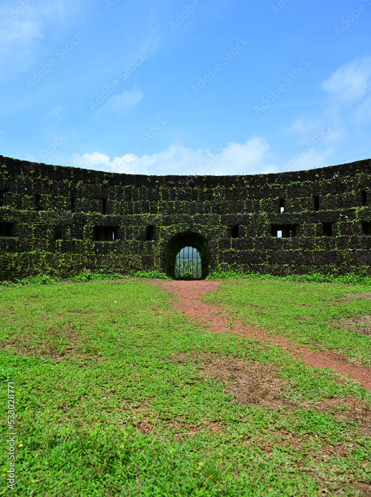 Photo & Art Print Periphery wall of the century old fort covered in ...