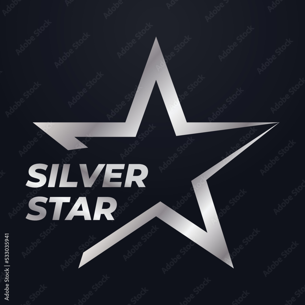 Luxury Silver star logo Symbol Vector designs template, Elegant Style ...