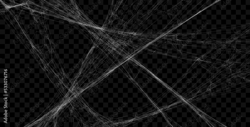 Realistic spider web background texture. Hanging cobweb for halloween ...