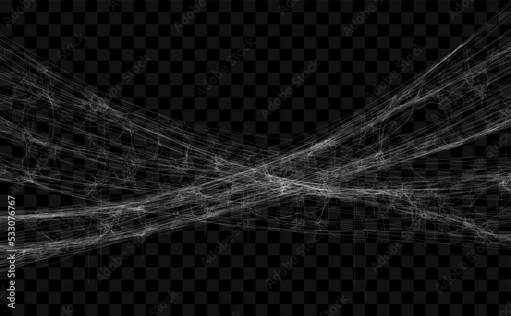 Realistic Spider Web Png