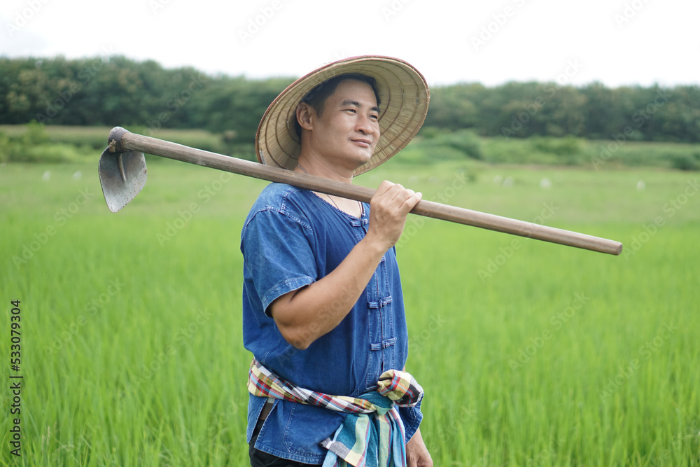 Asian man farmer is at paddy field, wears hat, blue shirt and holds a ...