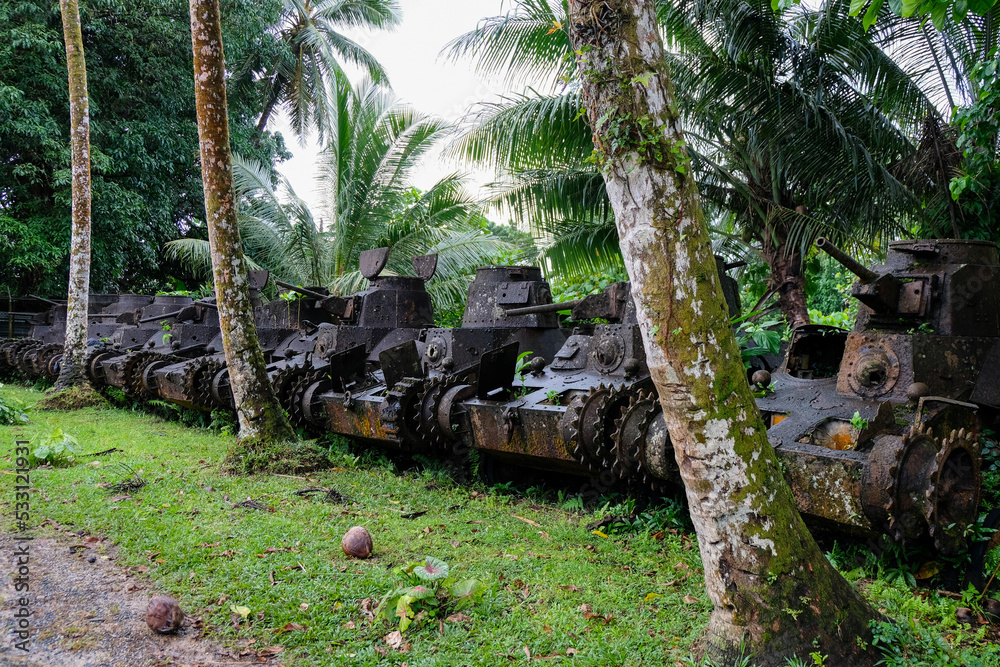 A collection of Japanese WW2 military tanks in the forest on the remote ...