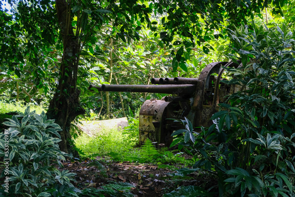 WW2 anti aircraft guns found in the jungle on the remote tropical ...
