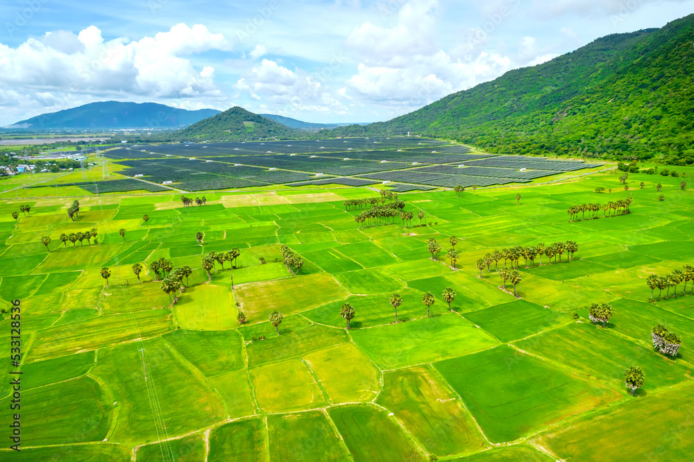 Ta Pa rice fields are beautiful in the morning, interspersed with ...