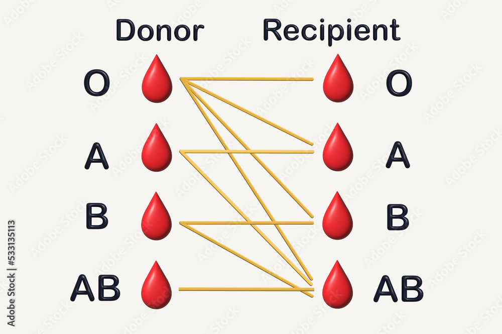 Recipient and Donor. Types of blood (A, B, AB, O). There is a specific ...