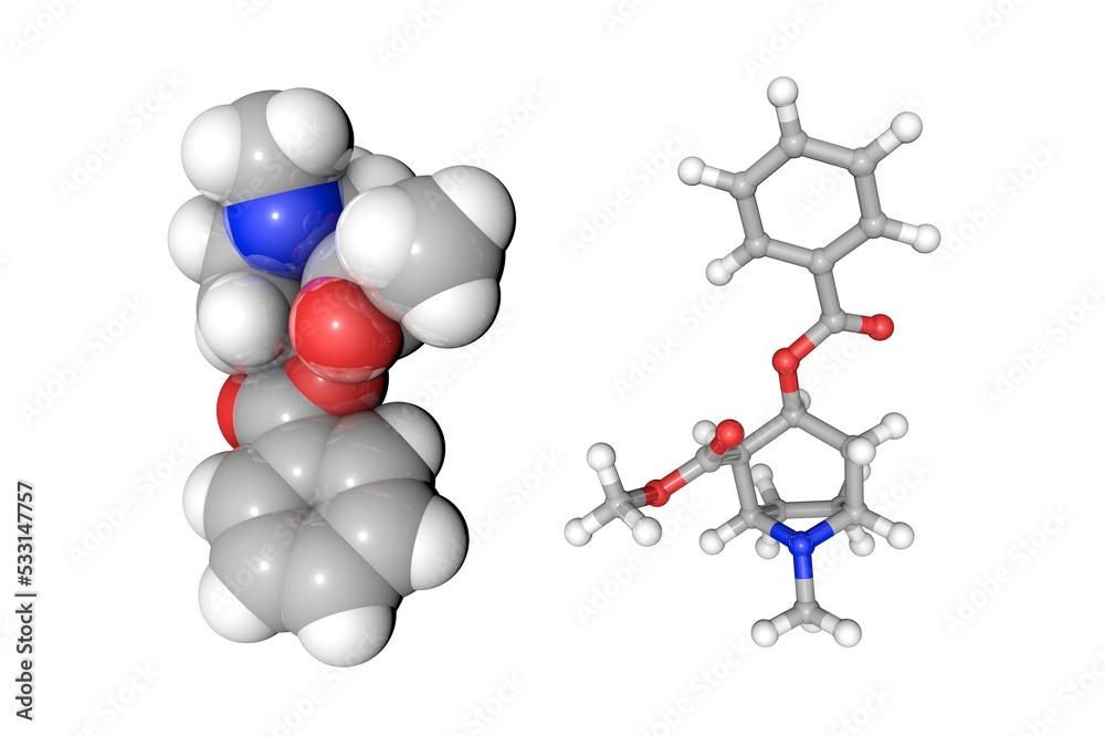 Molecular structure of cocaine. Atoms are represented as spheres with ...
