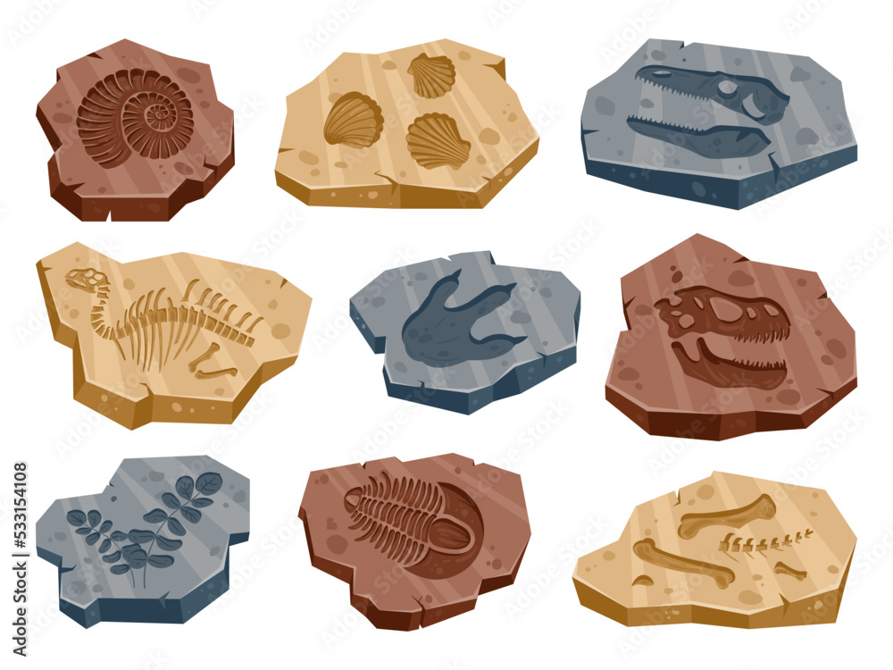 Cartoon archeology fossil, jurassic dino, ancient flora and fauna ...