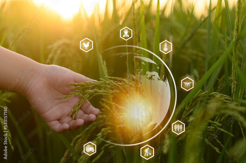 Smart Farm, Agricultural Technology and Organic Agriculture Boys hold ...