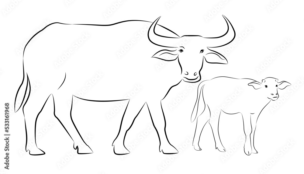 Hand drawn vector buffalo sketch illustration set. Isolated on white ...