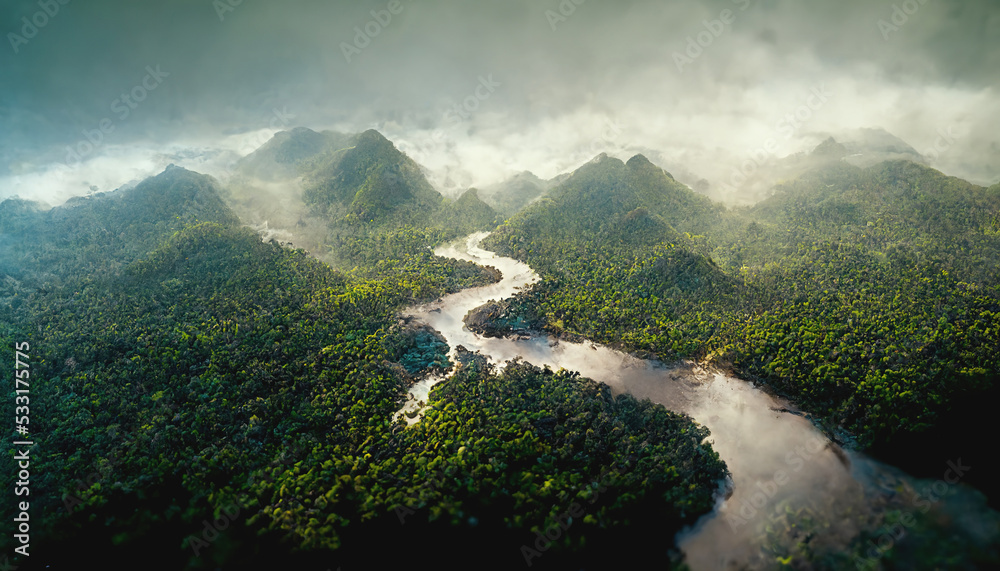 Aerial view of tropical rainforest and river. Climate and nature ...