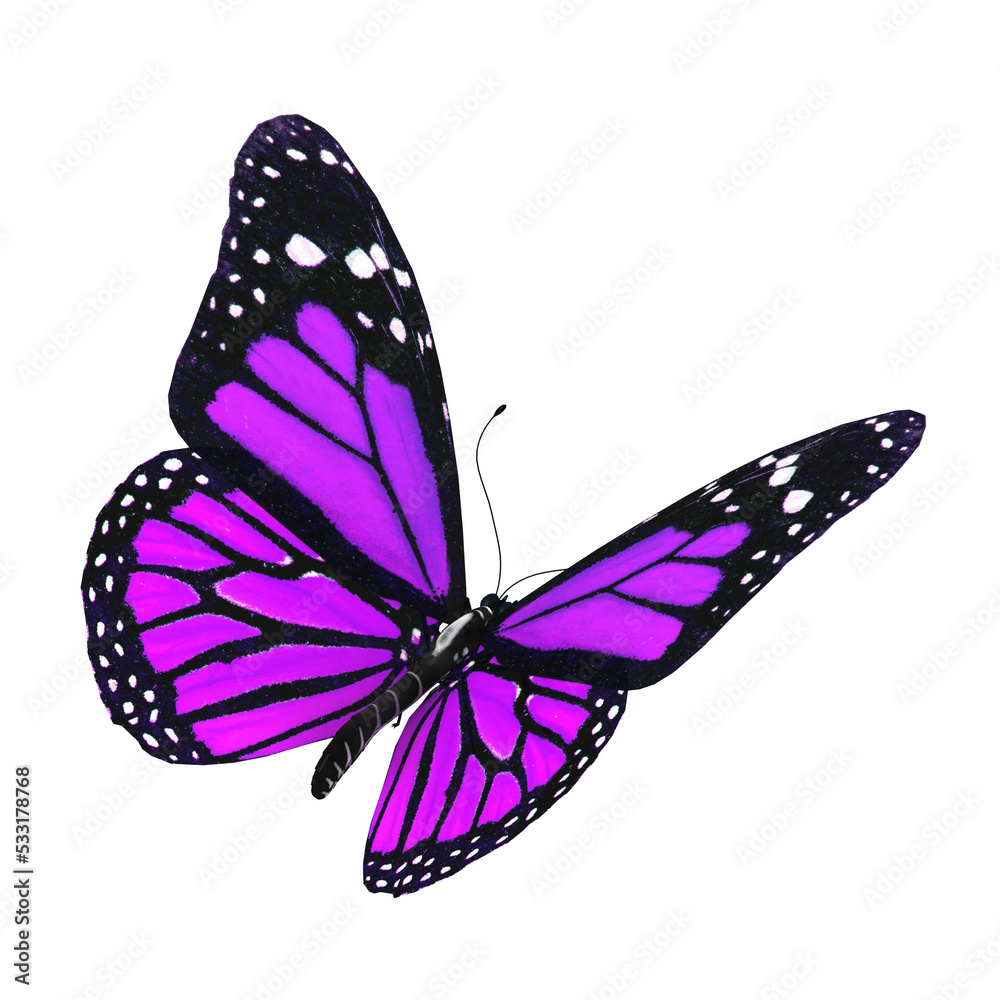 3d illustration of a purple butterfly Stock Illustration | Adobe Stock