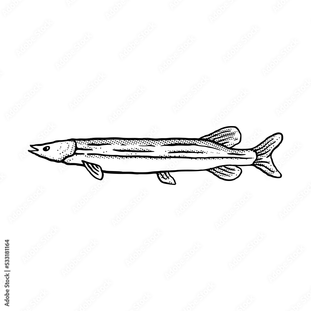 Fish Illustration hand drawn cartoon sketch lineart vintage style ...