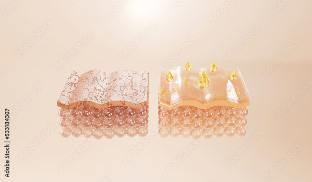 before and after repairing skin layer. concept cosmetic solution. 3d ...