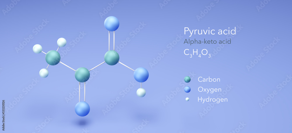 pyruvic acid, molecular structures, alpha-keto acid, 3d model ...