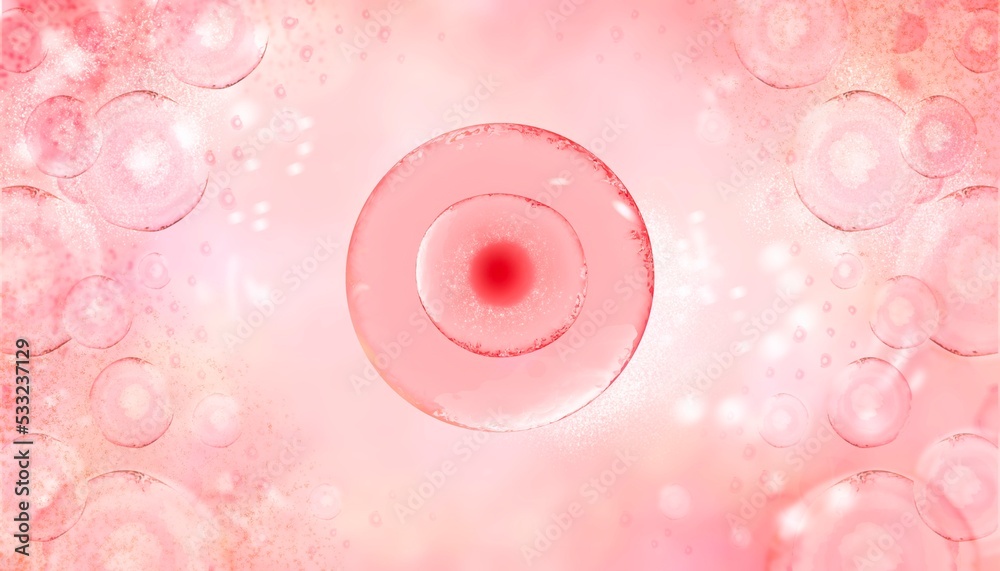 High resolution medical banner with woman egg cell Center. Banner for ...