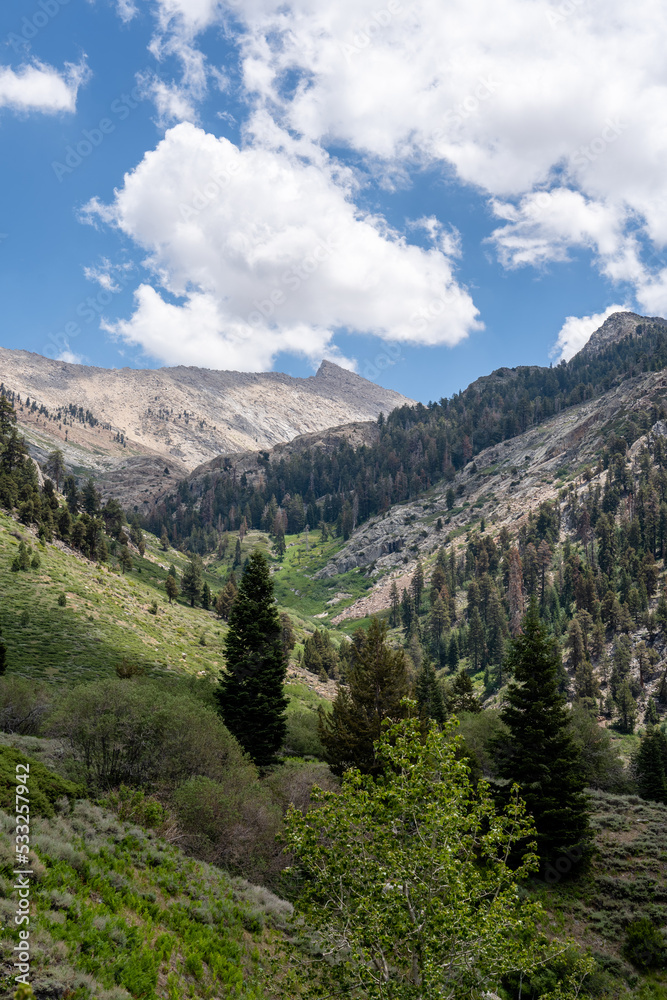 Sawtooth Peak in Mineral King, California in Sequoia National Park ...