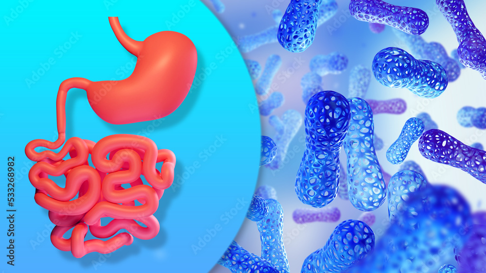 Microbiome bacteria. Gastrointestinal tract. Microbiome and stomach ...