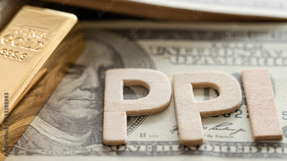 Text PPI message is placed on the dollar and gold bar. PRODUCER PRICE ...