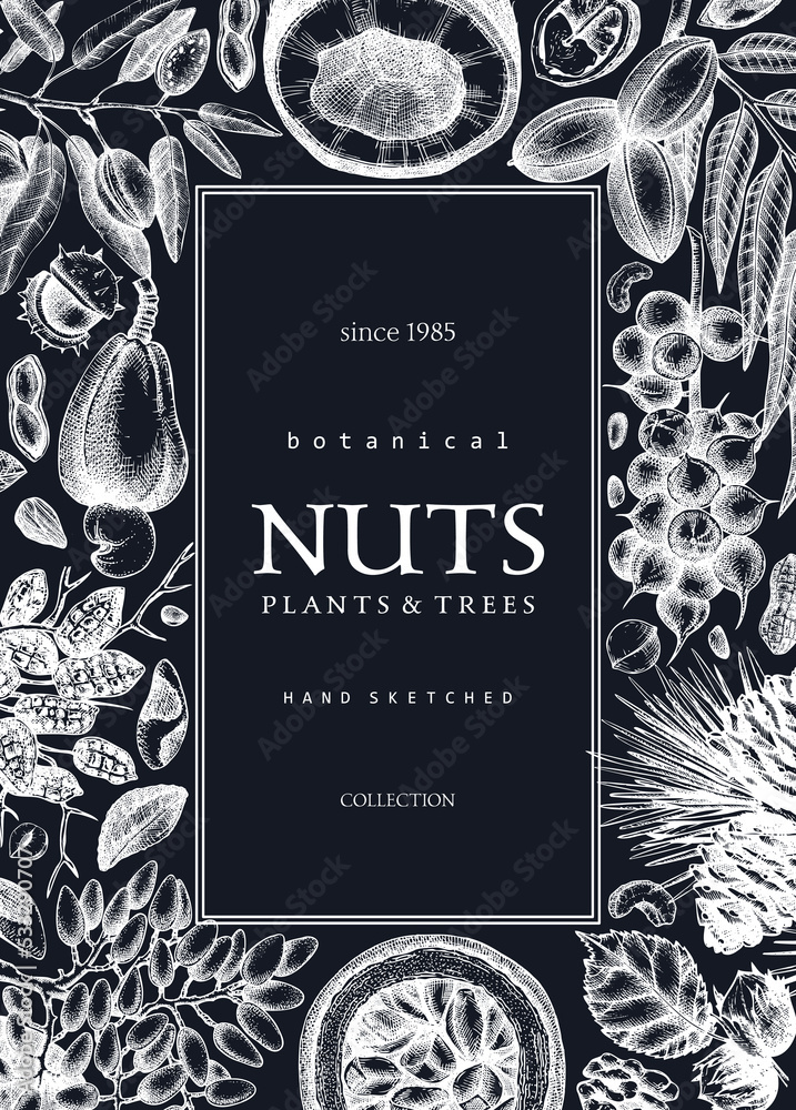 Vector nuts frame on chalkboard. Vintage nuts background in sketched style. Healthy food ...