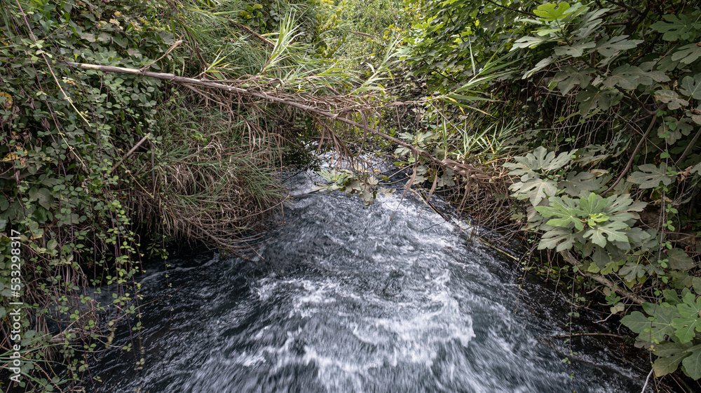 Dan River, originating from Tel Dan springs, the largest of the Jordan ...