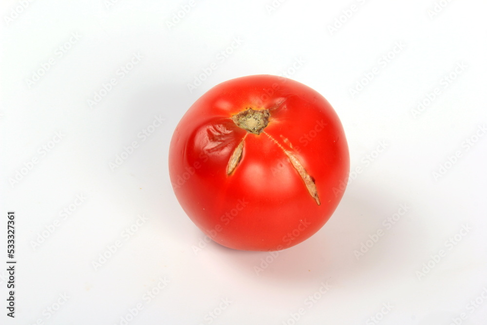 Spoiled tomato on white background, fungus with mold on vegetable ...