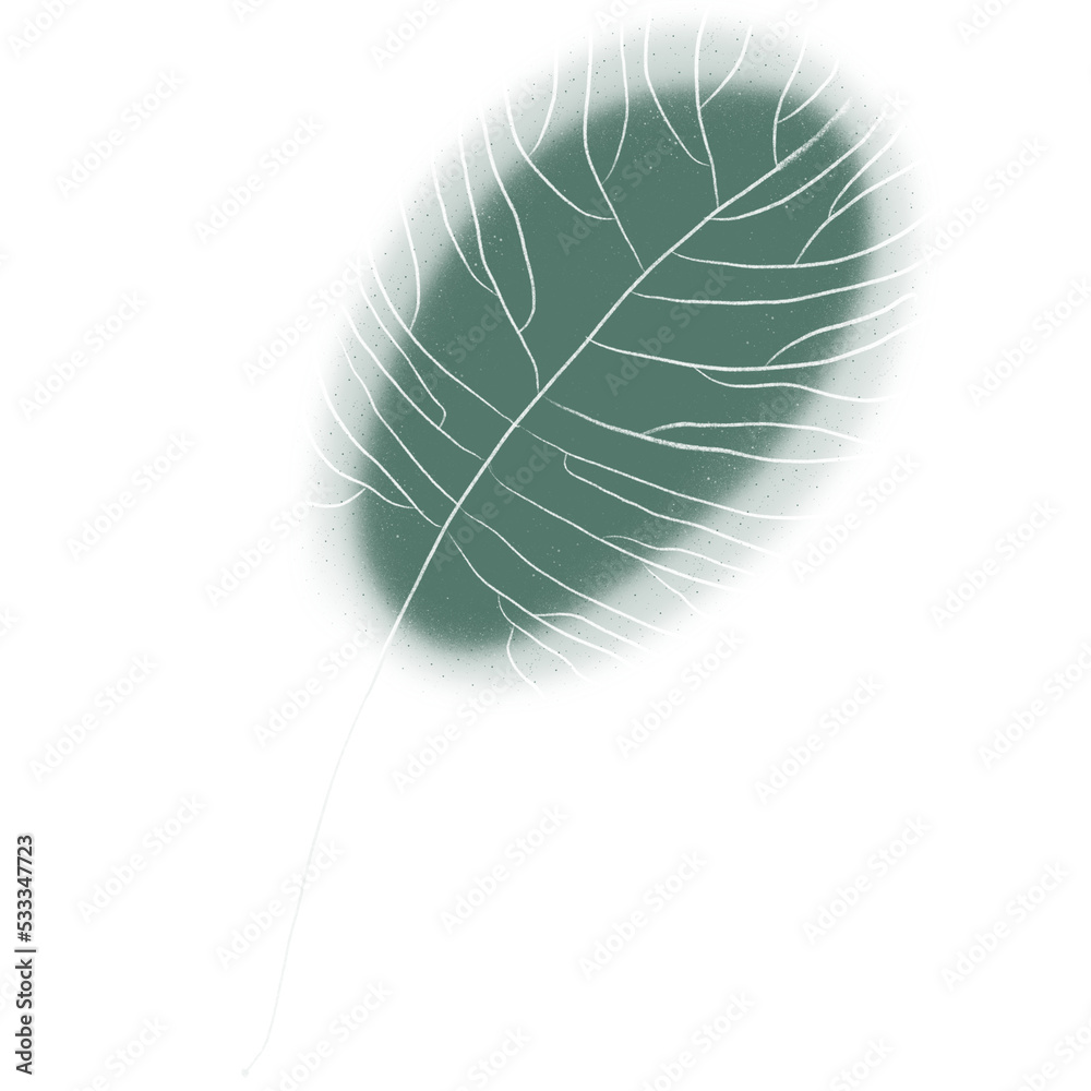 Green leaf with lines inside isolated on transparent background ...
