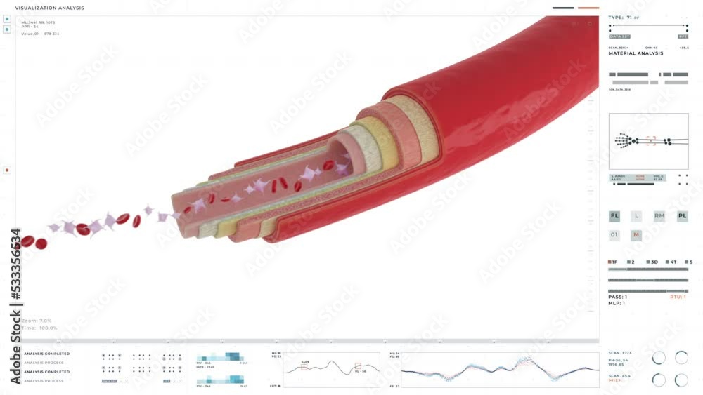 Anatomical Analysis Interface Inspects Blood Cells In Artery ...