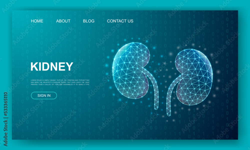 Kidneys 3d polygonal website template. Urinary design illustration ...