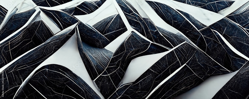 weird black and white shape with organic shapes and lines and planes ...
