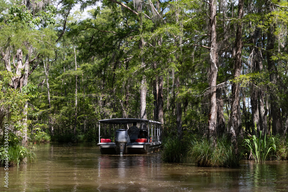 Honey Island Swamp Tour