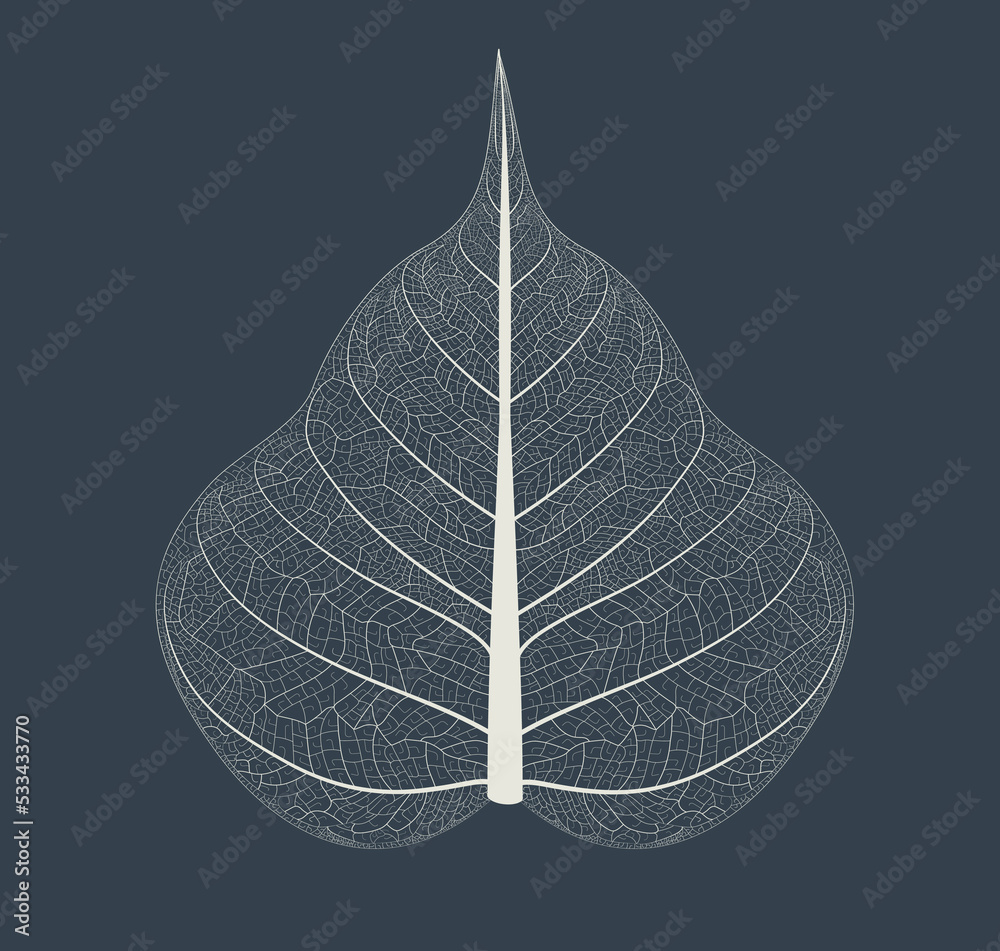 Closeup of dried skeleton leaves on a dark background. Vector ...