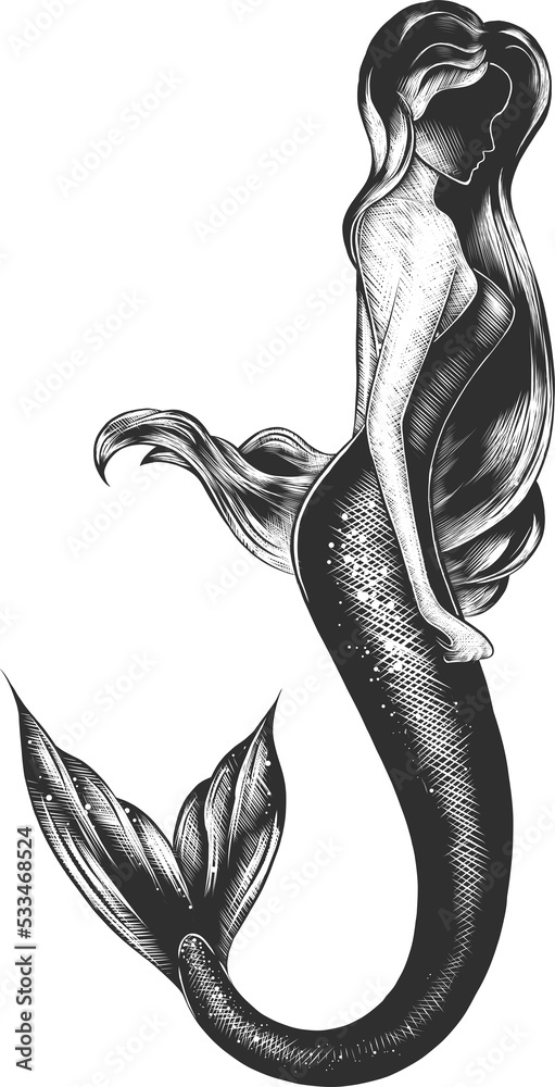 PNG engraved style illustration for posters, decoration and print. Hand ...