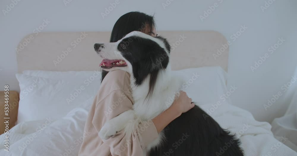 Happy smiling woman is caressing with affection her lovely border ...