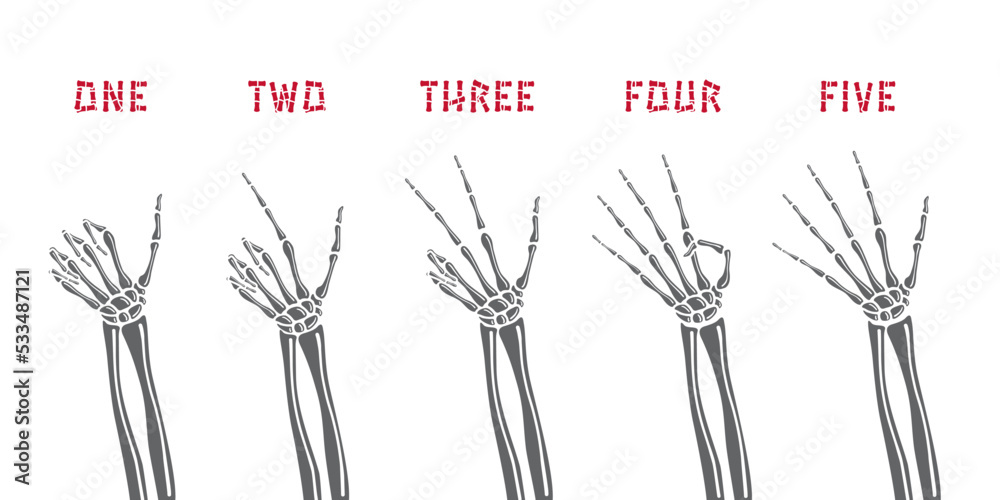 Dead Man Skeleton Hand Correct Finger Counting to Five Beginning with ...