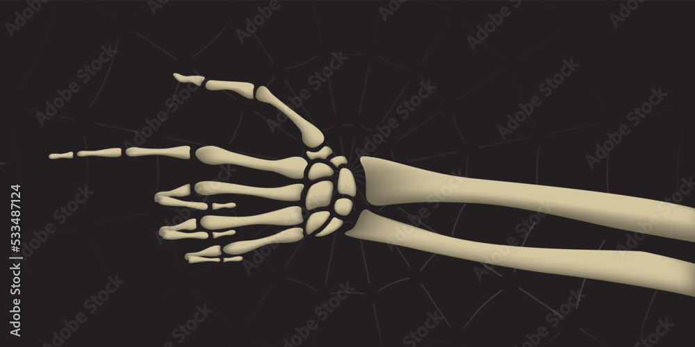Dead Man Skeleton Realistic Hand Pointer Showing Direction Halloween ...
