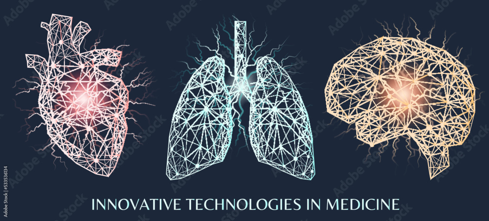 Set of polygonal human organs made of red lines and dots. Medical ...