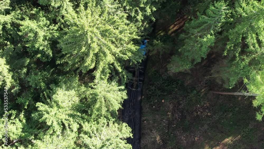 wood industry cut wood.Piles of logs. The consequences of bark beetle ...