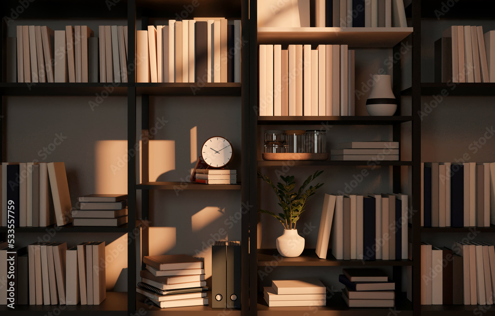 Modern bookshelves background with different kinds of books and home ...