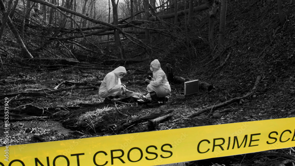 Detectives are collecting evidence in a crime scene. Forensic ...