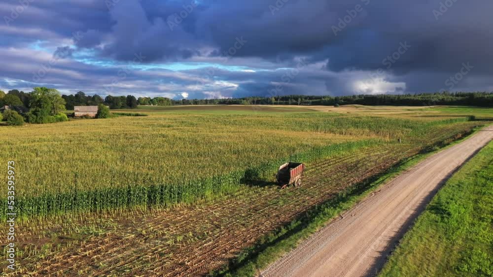 Empty tractor trailer on partly harvested cornfield in golden hour with ...