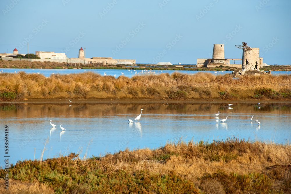 water birds in the WWF reserve of the Saline di Trapani in Sicily Stock ...