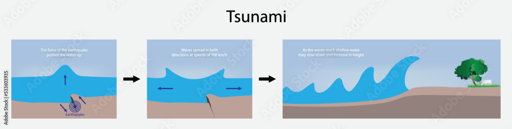 illustration of physics and biology,Tsunami waves are caused by ...