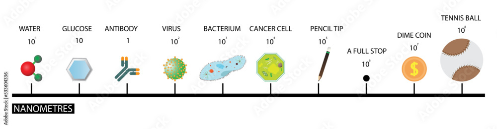 Vektorová Grafika „illustration Of Physics And Biology Nanometer Is Often Used To Express